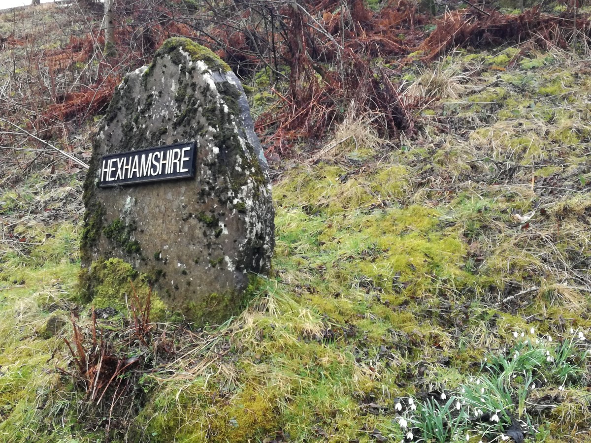 DIPTON MILL – DIPPING INTO HEXHAMSHIRE – retiredmartin