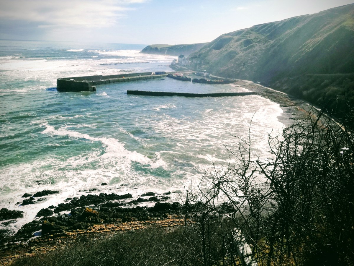 INTO THE EYEMOUTH OF THE STORM – retiredmartin