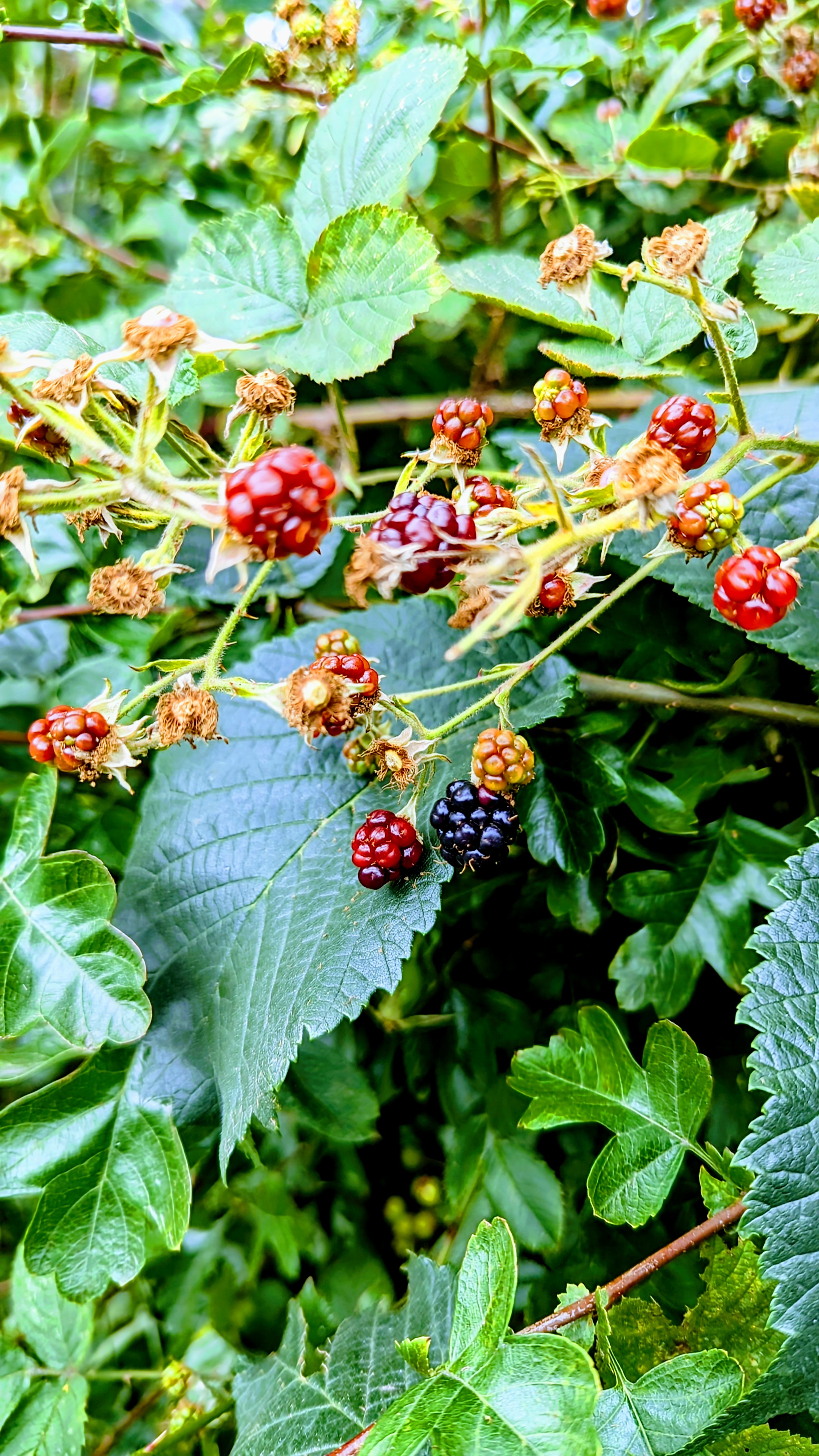 WINNING ON THE WENNING – retiredmartin