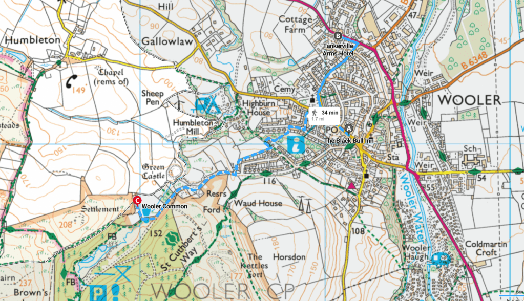 RED SQUIRRELS, RARE TICKS IN WOOLER – retiredmartin